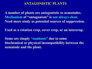 Antagonistic Plants for Nematode Management | PDF