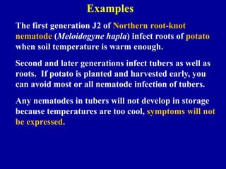 Antagonistic Plants for Nematode Management | PDF