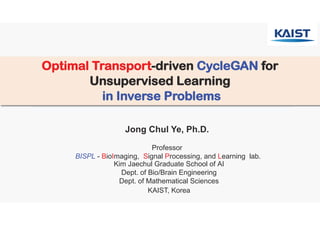 Optimal transport driven CycleGAN for unsupervised learning in inverse problems | PDF