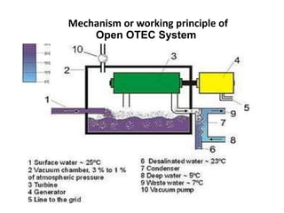 OTEC.pptx