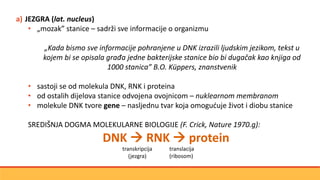 Oštećenje stanice | PPSX