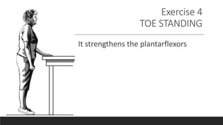 Otego home excercise program | PPTX