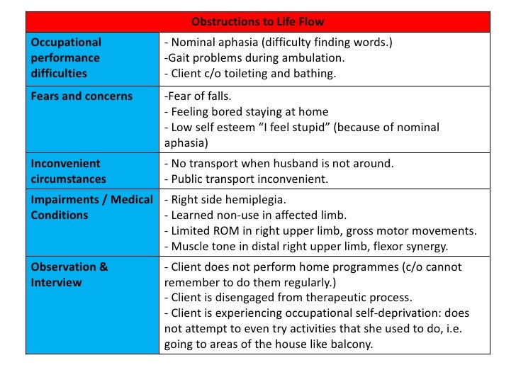 The Kawa Model in Neurology