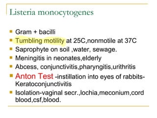Other bacteria | PPT