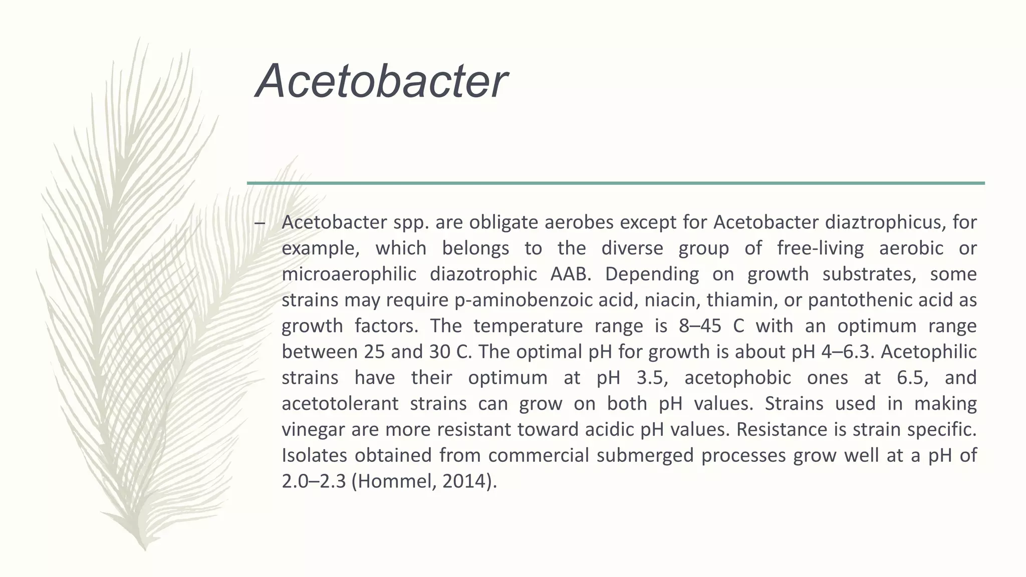 Other bacteria in food industry | PPTX