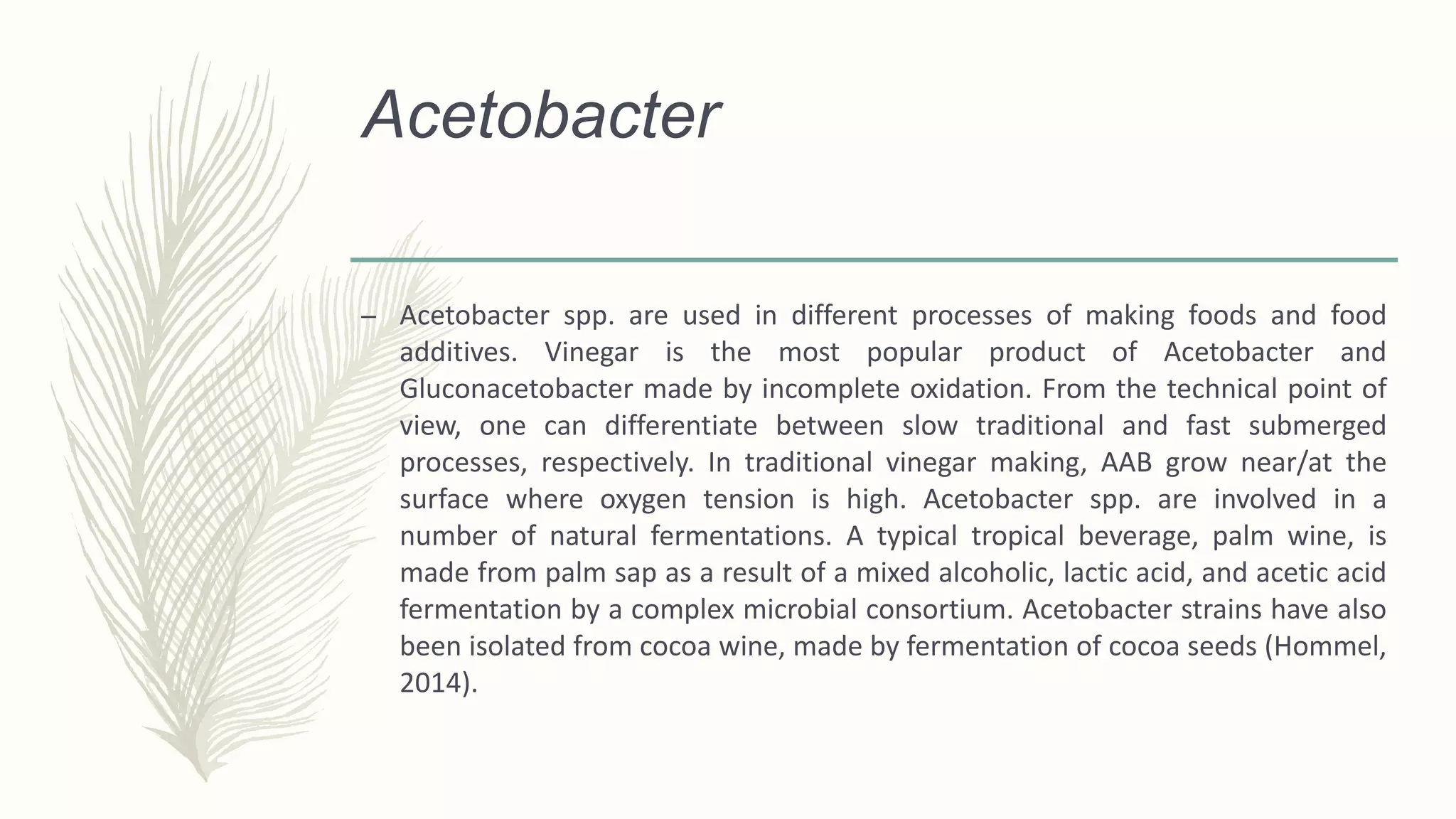 Other bacteria in food industry | PPTX