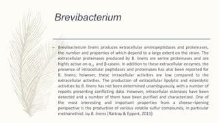 Other bacteria in food industry | PPT