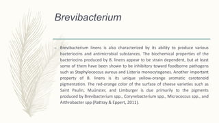 Other bacteria in food industry | PPT