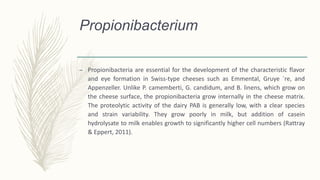 Other bacteria in food industry | PPTX