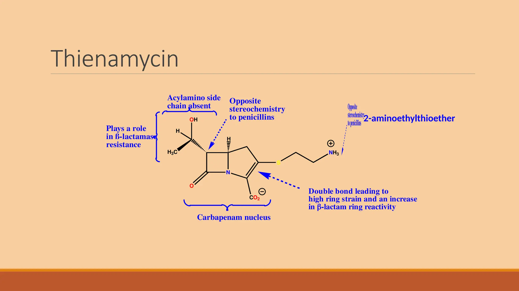 Beta lactam antibiotics- Thienamycin, Monobactam & Beta lactamase ...