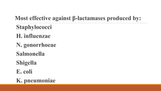 Beta lactam antibiotics- Thienamycin, Monobactam & Beta lactamase ...