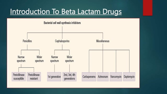 Other Beta Lactam Drugs.pptx pharmacology | PPT