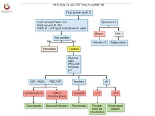 other body fluids pericardial, peritonial,synovial,pleural | PPTX