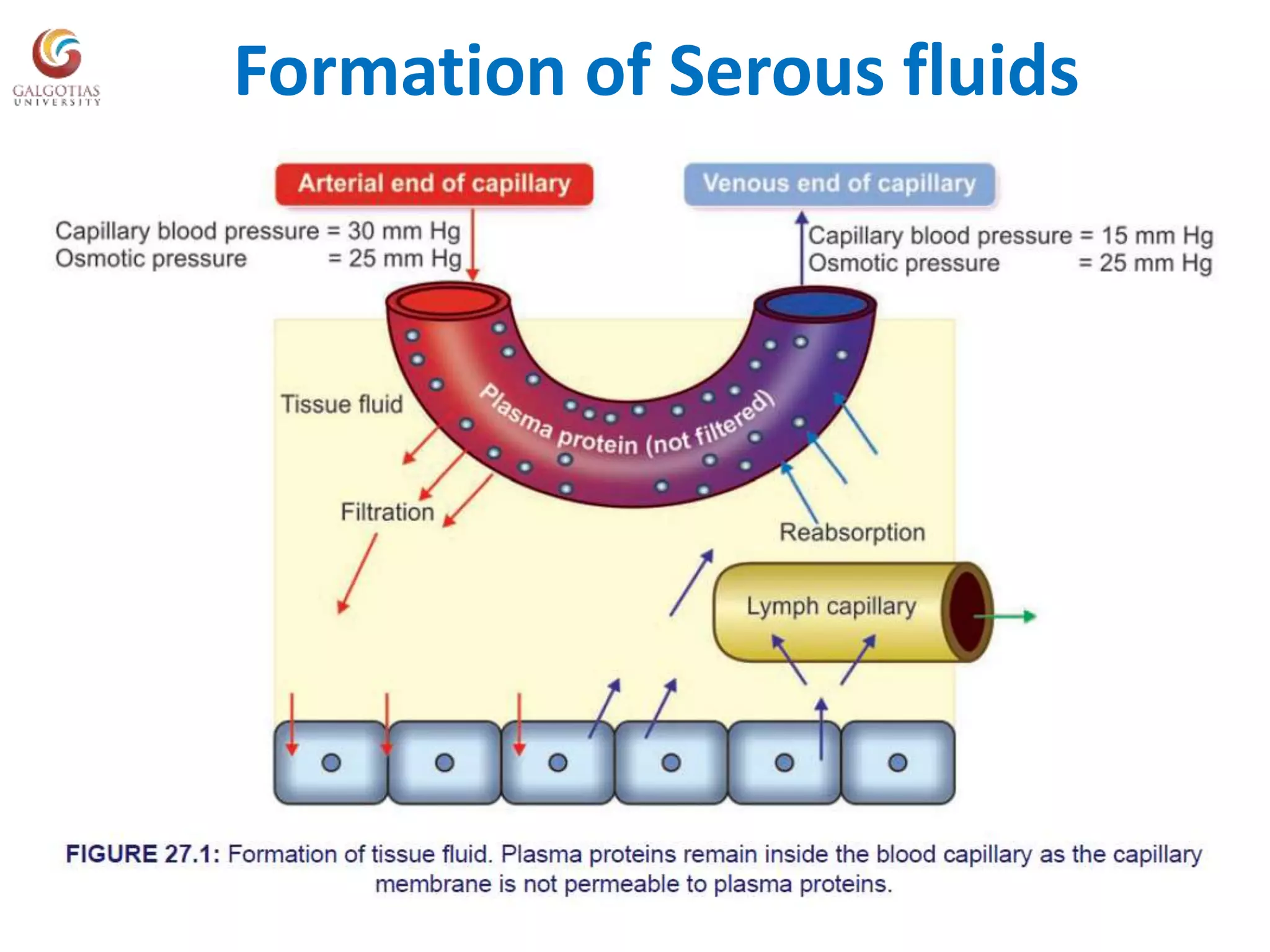 Other body fluids | PPTX