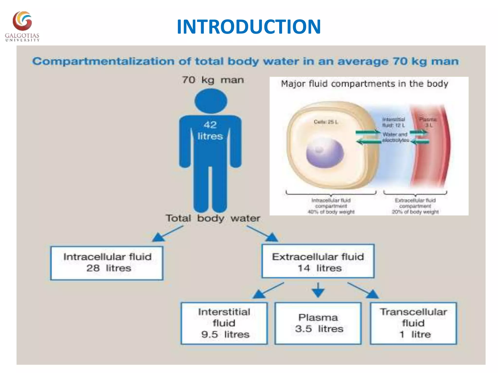 Other body fluids | PPTX