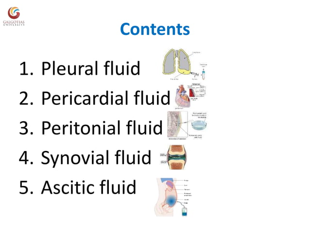 Other body fluids | PPTX | Lung and Respiratory Health | Diseases and ...