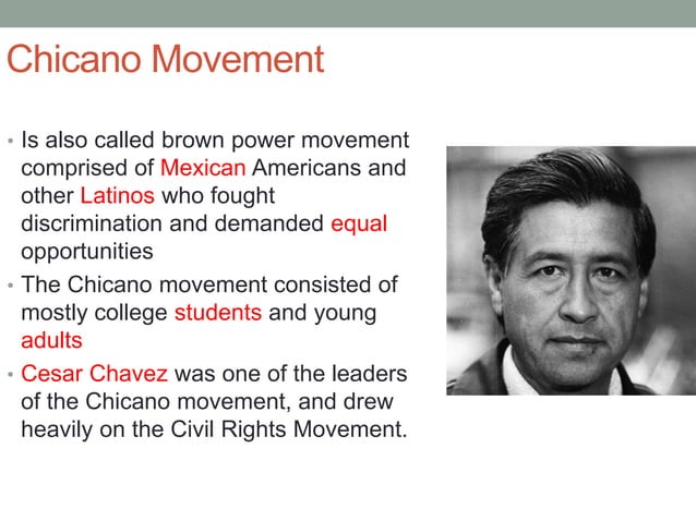 Other Civil Rights Movements | PPT