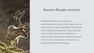 Different Breeds of Dairy Animals - other Animals | PPTX