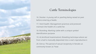 Different Breeds of Dairy Animals - other Animals | PPTX