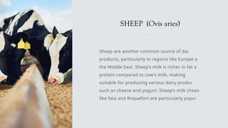 Different Breeds of Dairy Animals - other Animals | PPTX