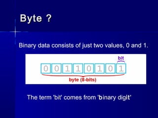 Other data storage devices v3 | PPT