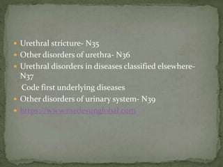 Other diseases of the urinary system | PPTX | Sexual Conditions ...