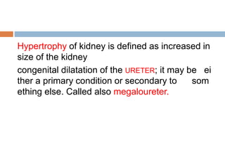 Other disorders of kidney and ureter | PPTX
