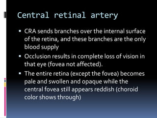 Other eye diseases | PPT