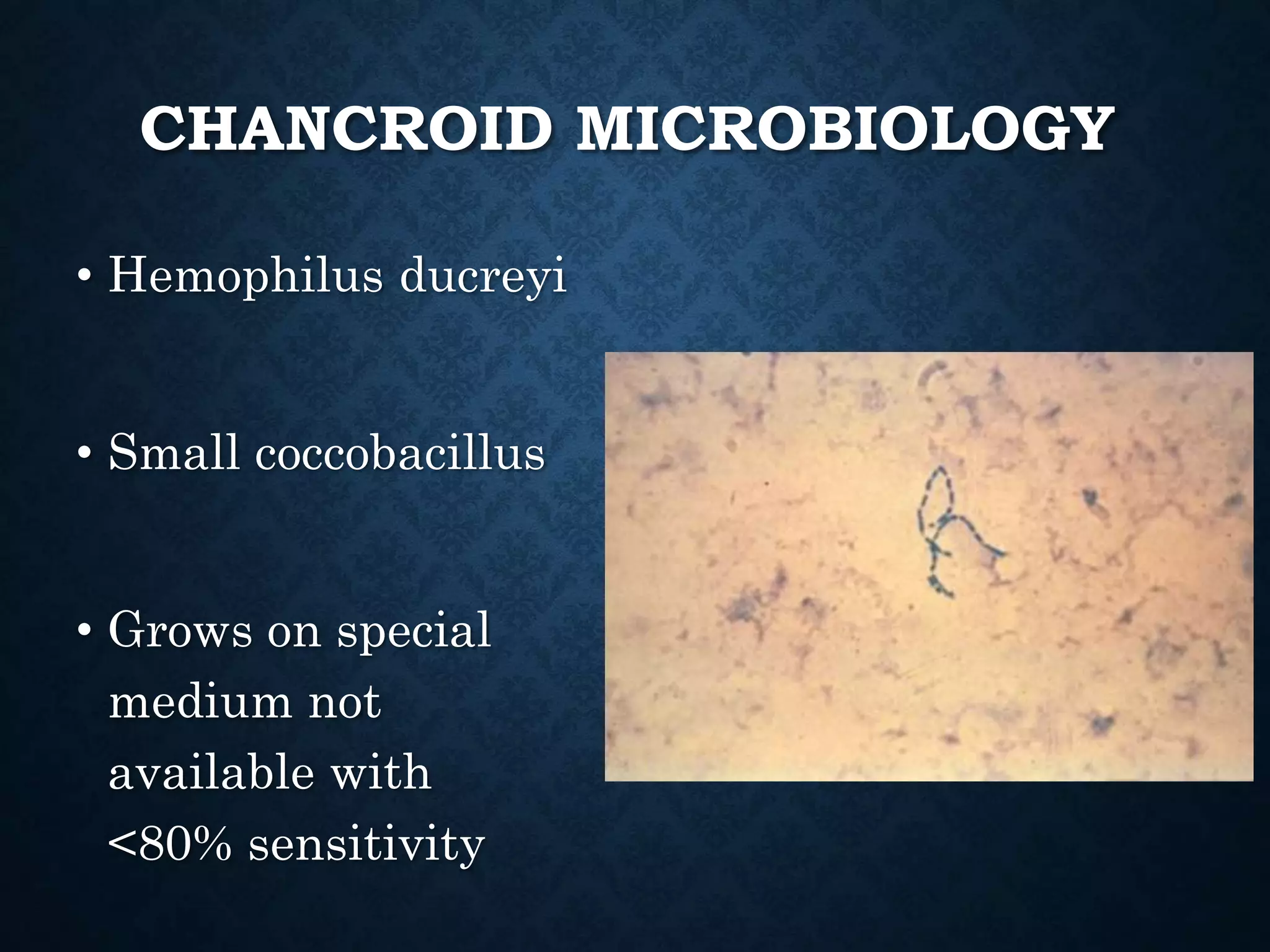 STD’S – GENITAL ULCER | PPTX
