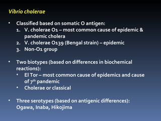 Other Gram Negative Bacilli | PPT