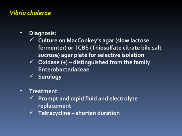 Other Gram Negative Bacilli | PPT | Digestive Disorders | Diseases and ...