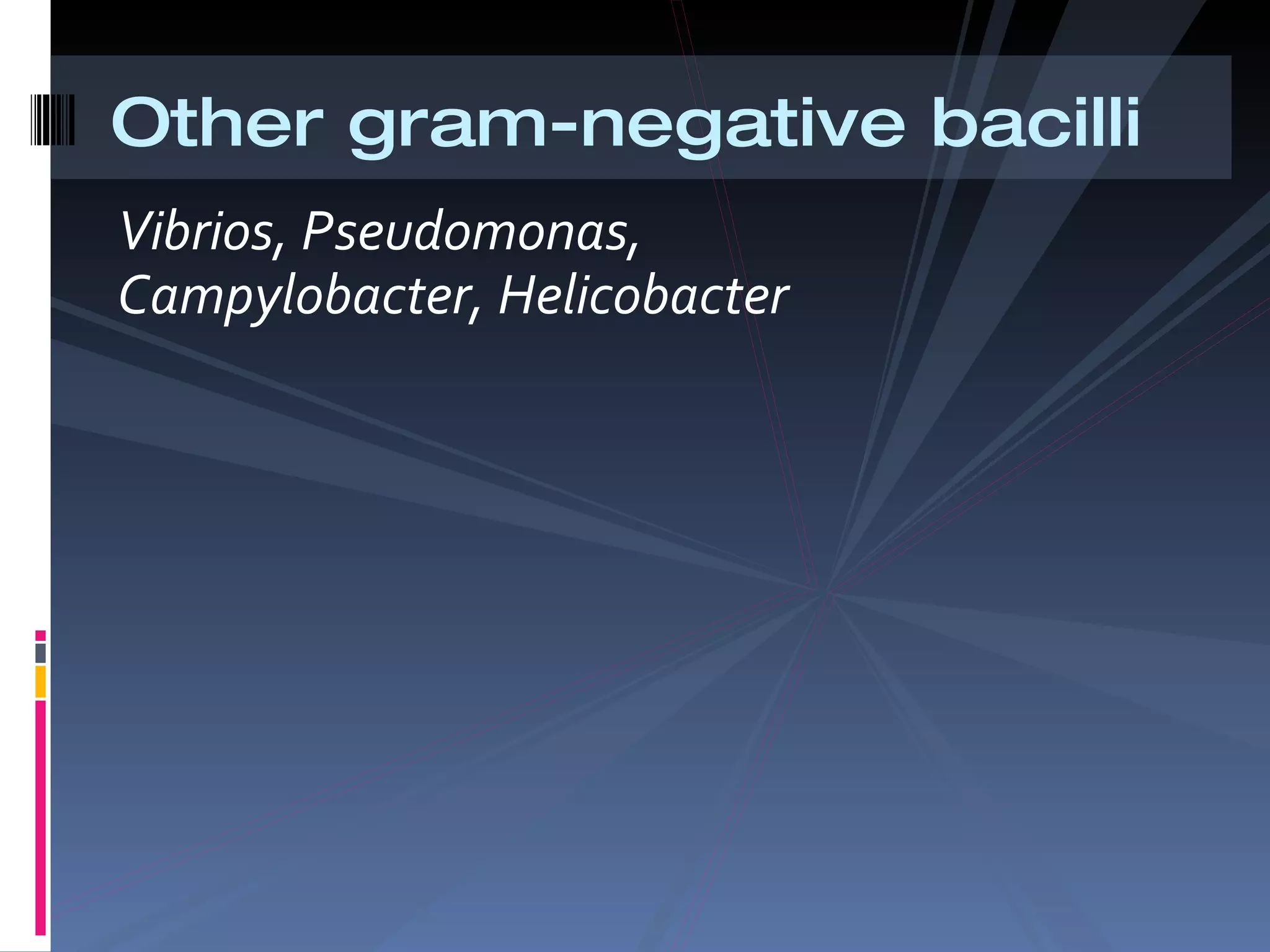 Other Gram Negative Bacilli | PPT