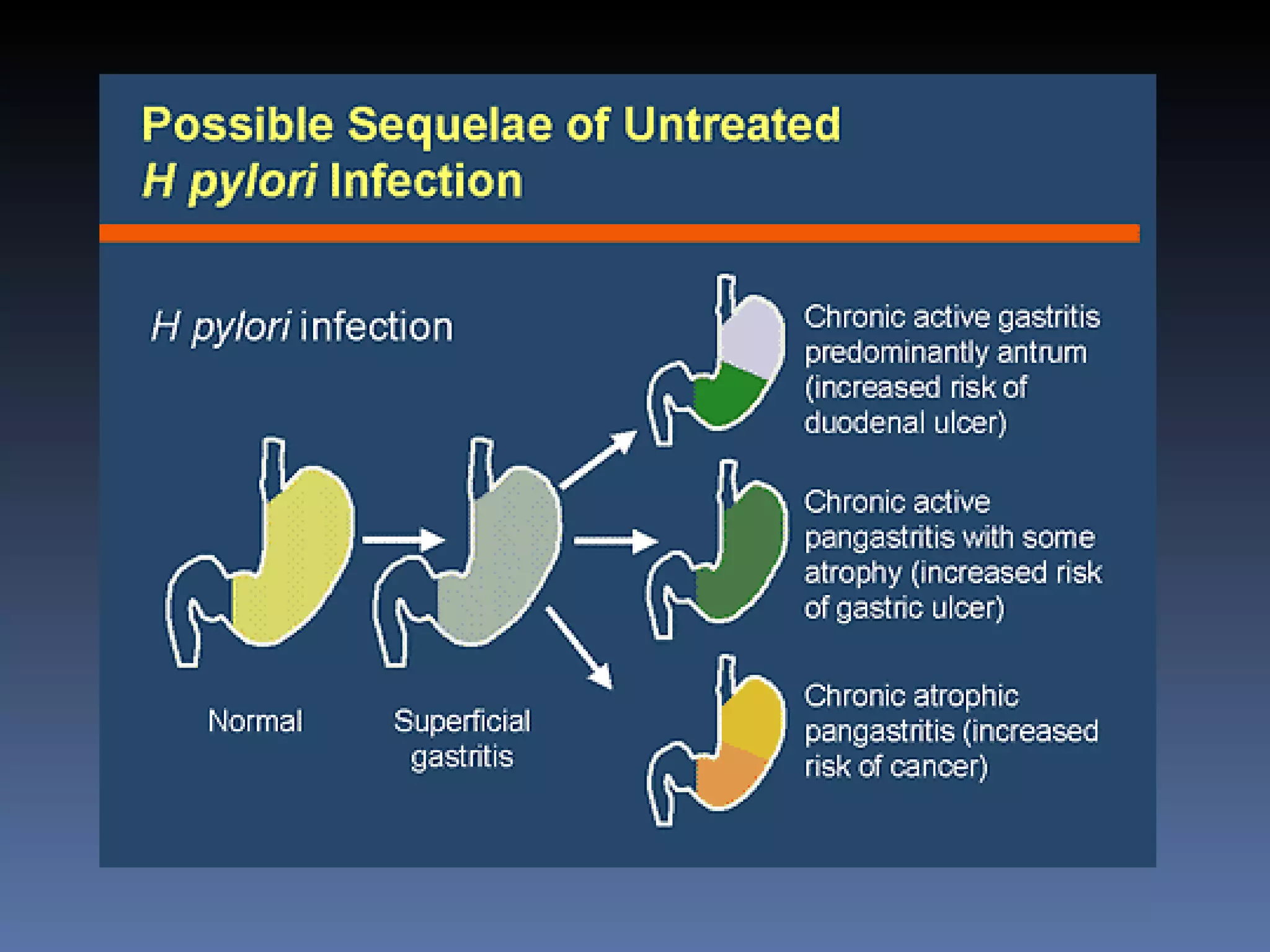 Other Gram Negative Bacilli | PPT