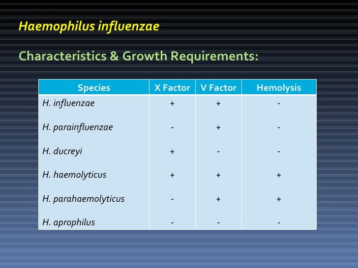 Other Gram Negative Bacilli