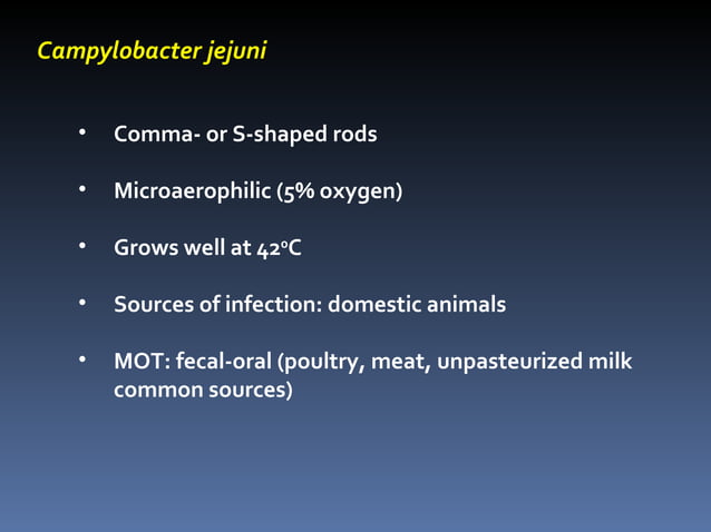 Other Gram Negative Bacilli Ppt
