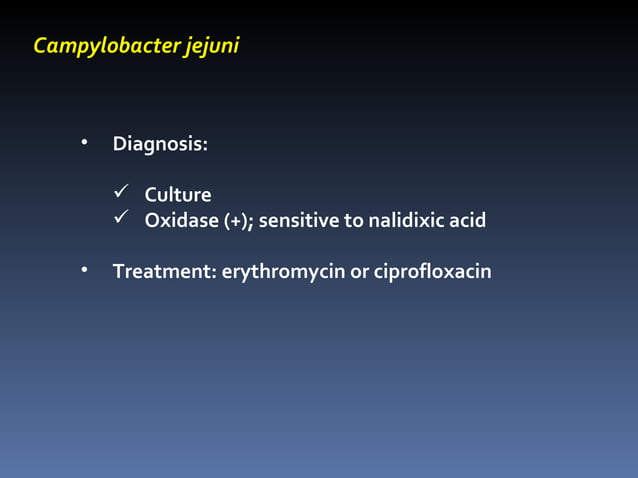 Other Gram Negative Bacilli | PPT
