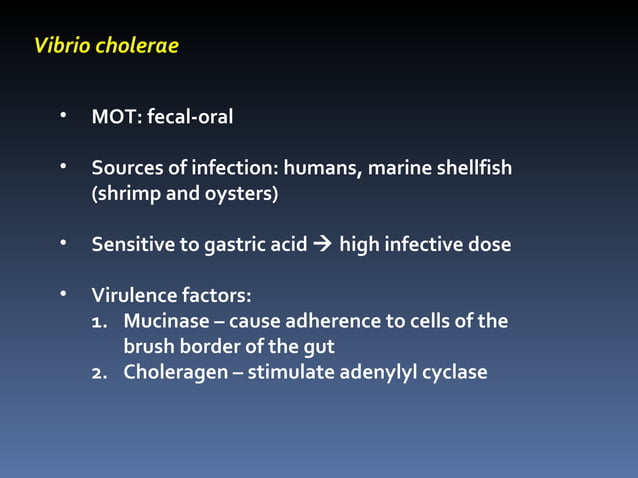 Other Gram Negative Bacilli | PPT