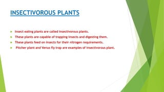 Other modes of nutrition in plants ppt science | PPTX