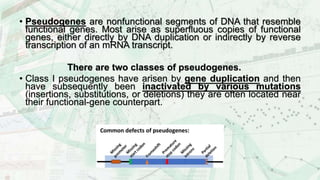 Other Noncoding DNA Species-Pseudogenes.pptx