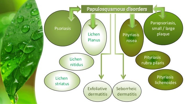 Other papulosquamous disorders