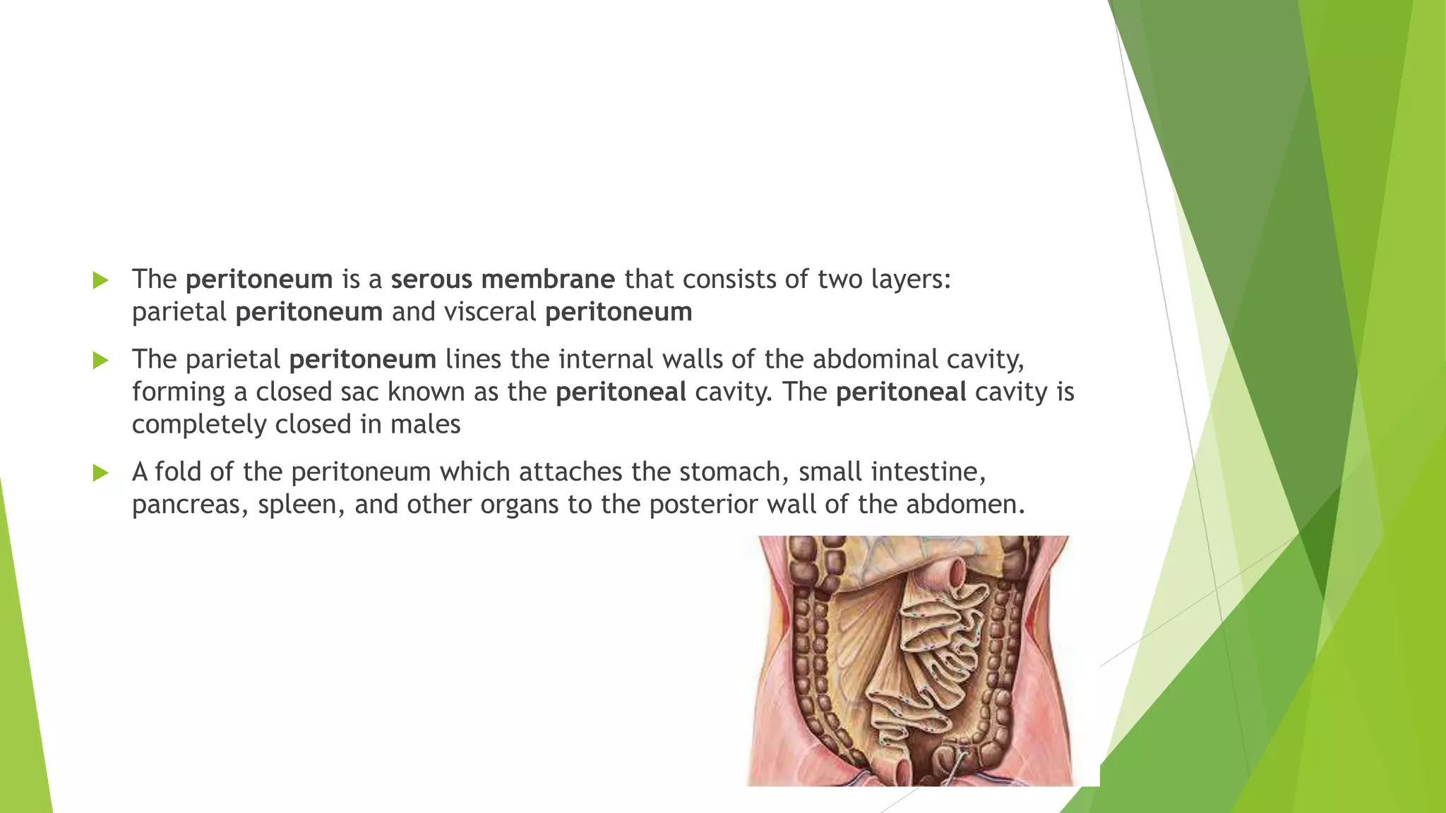 Other patterns of organization | PPTX