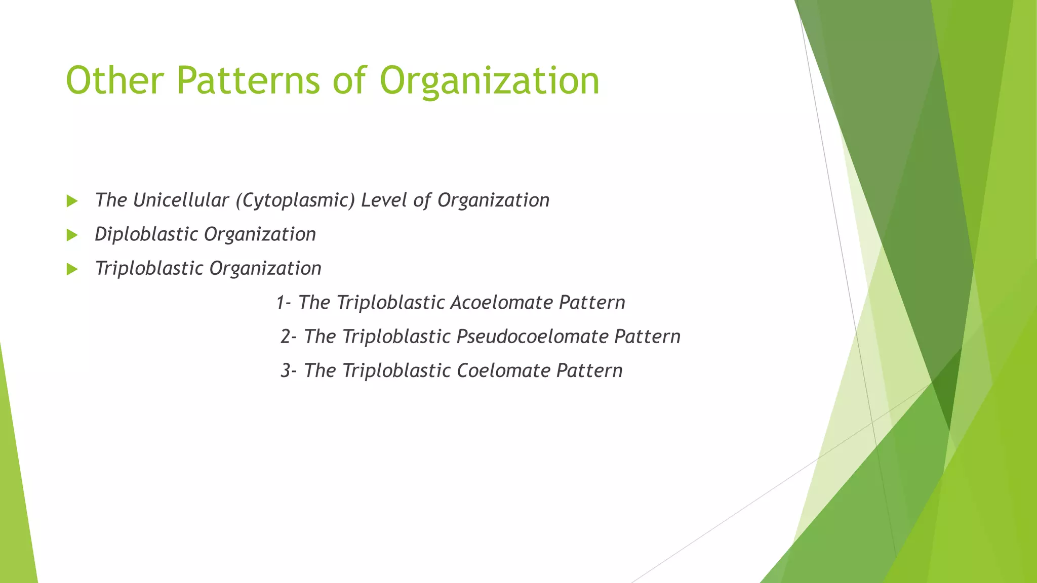 Other patterns of organization | PPTX | Biological Sciences | Science
