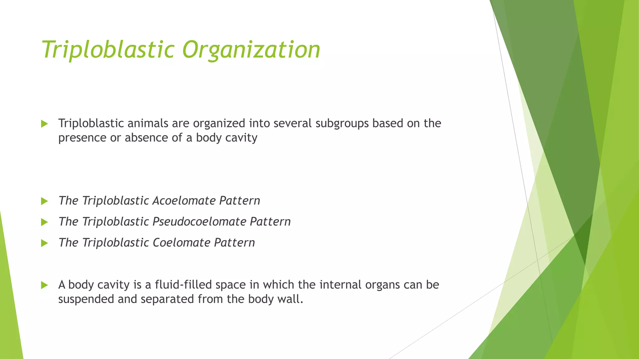 Other patterns of organization | PPTX | Biological Sciences | Science