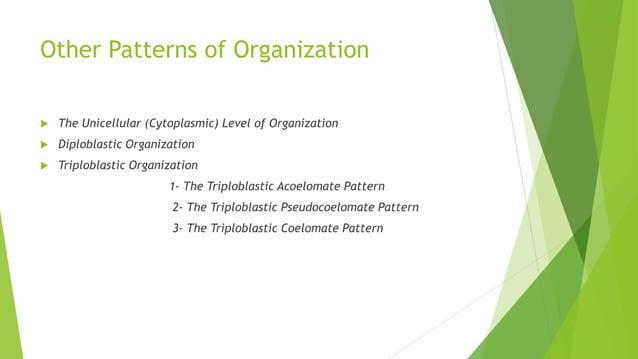 Other patterns of organization | PPT