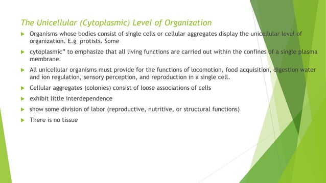 Other patterns of organization | PPT