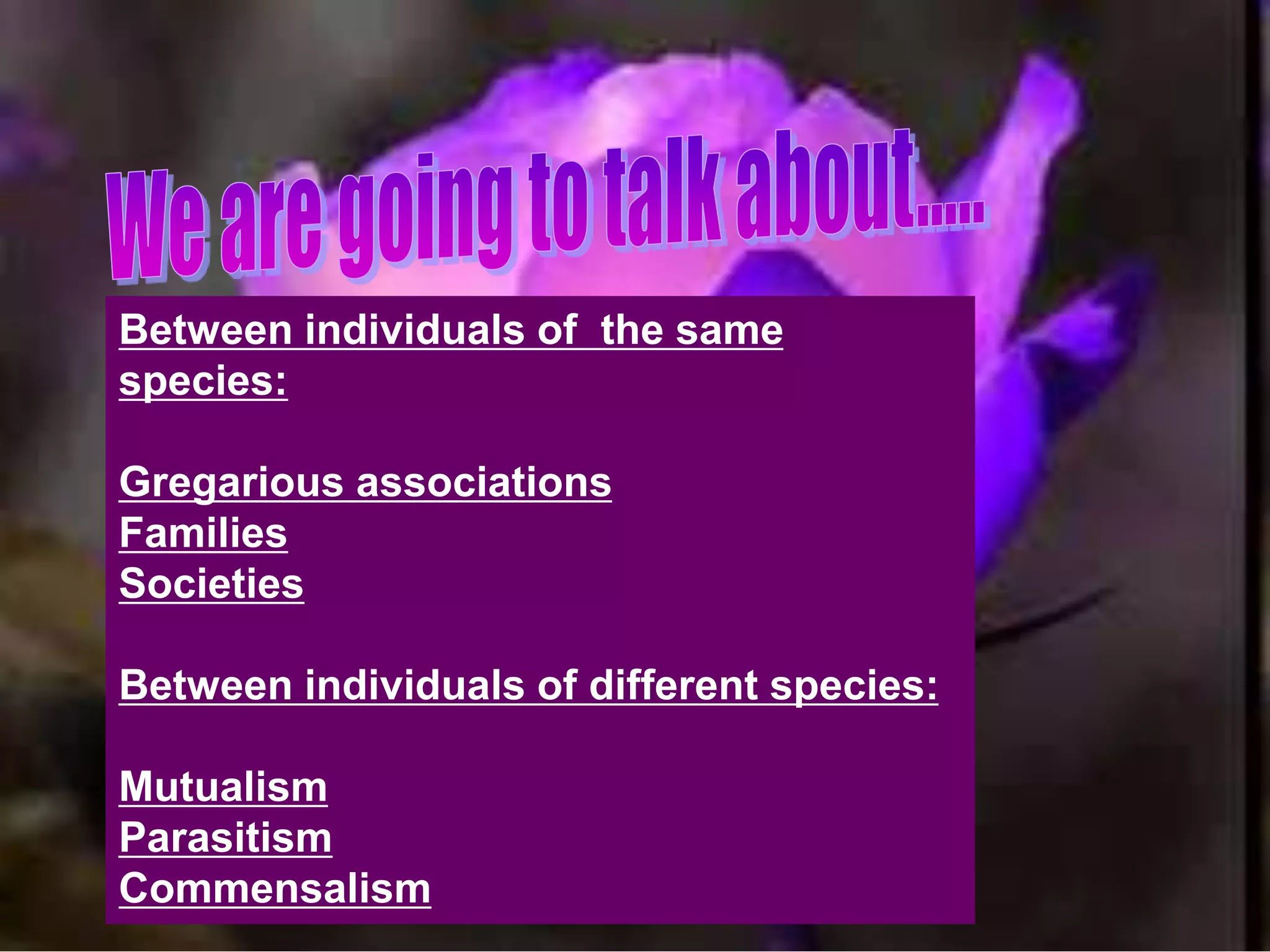 Relationships in an ecosystem: mutualism, comensalism and parasitism ...