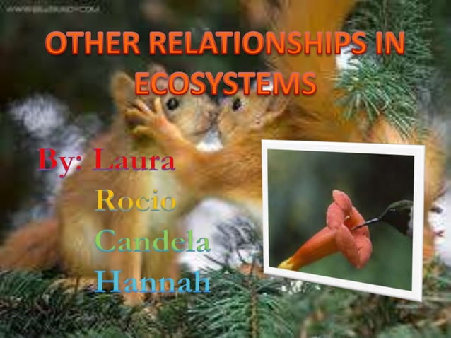 Relationships in an ecosystem: mutualism, comensalism and parasitism ...