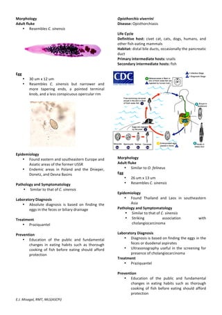 Other trematodes 1 | PDF | Digestive Disorders | Diseases and Conditions