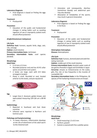 Other trematodes 1 | PDF | Digestive Disorders | Diseases and Conditions