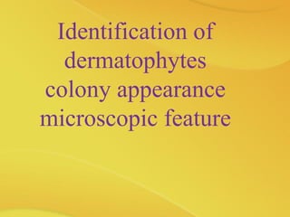 other types of tineas.pdf